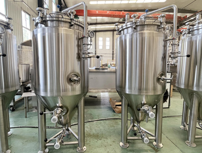 Malt Conveying System