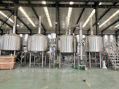 Beer Filtration System