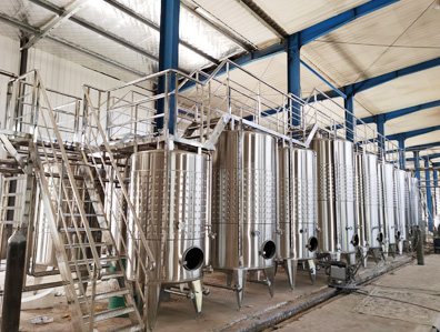 Malt Conveying System