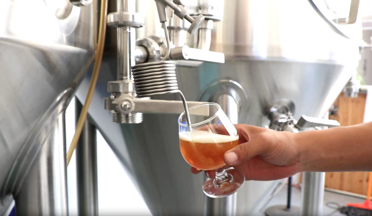 The relationship between malt quality and beer quality beer fermentation